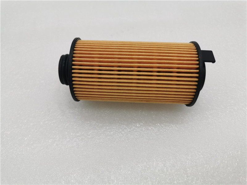 A700000017 Oil Filter for FOTON SAUVANA
